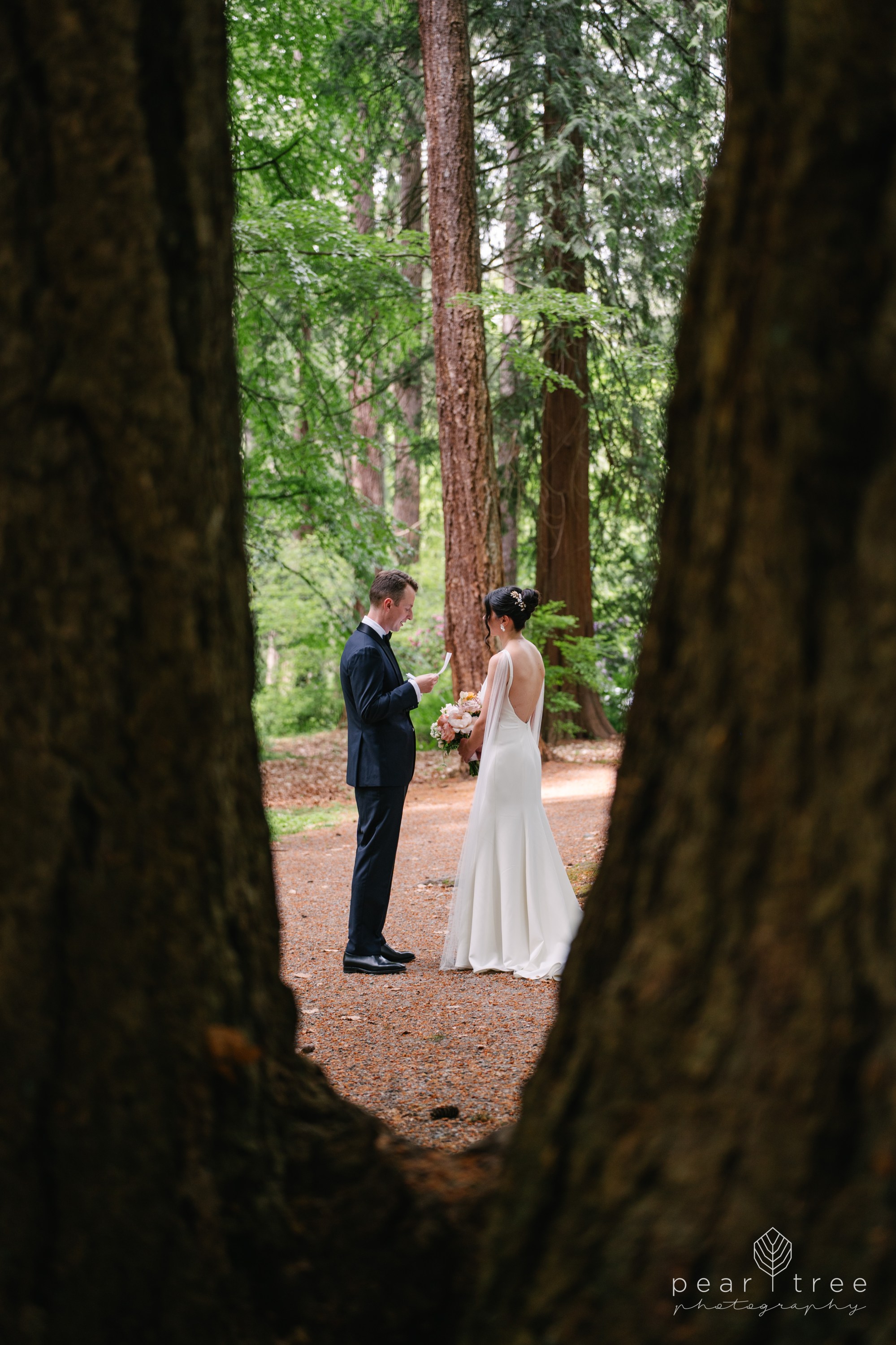 Timeless Elegance in the Rainforest: A Stanley Park Pavilion Wedding ...